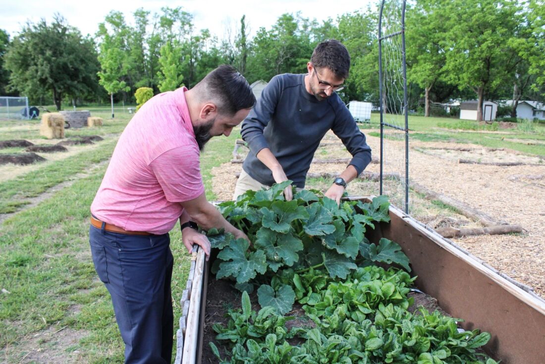 Groups turn to gardens as federal aid falls and prices rise | News ...